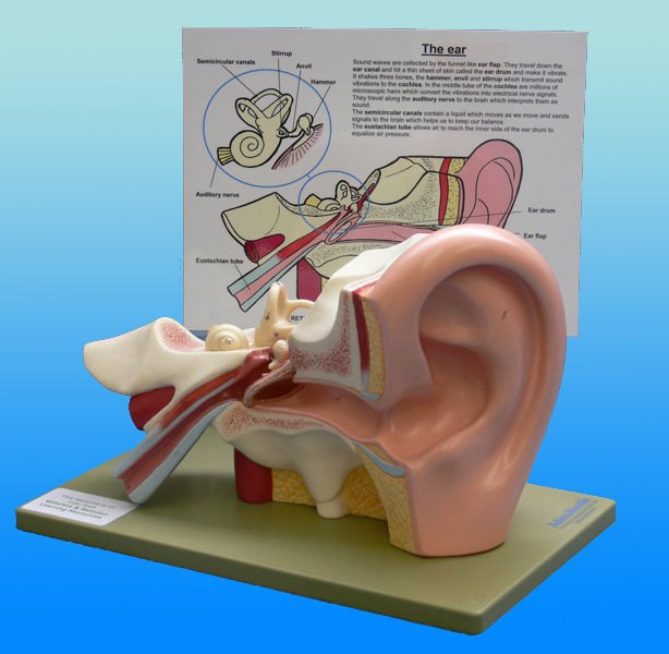 Learning Resources Hub (formerly WSLR)